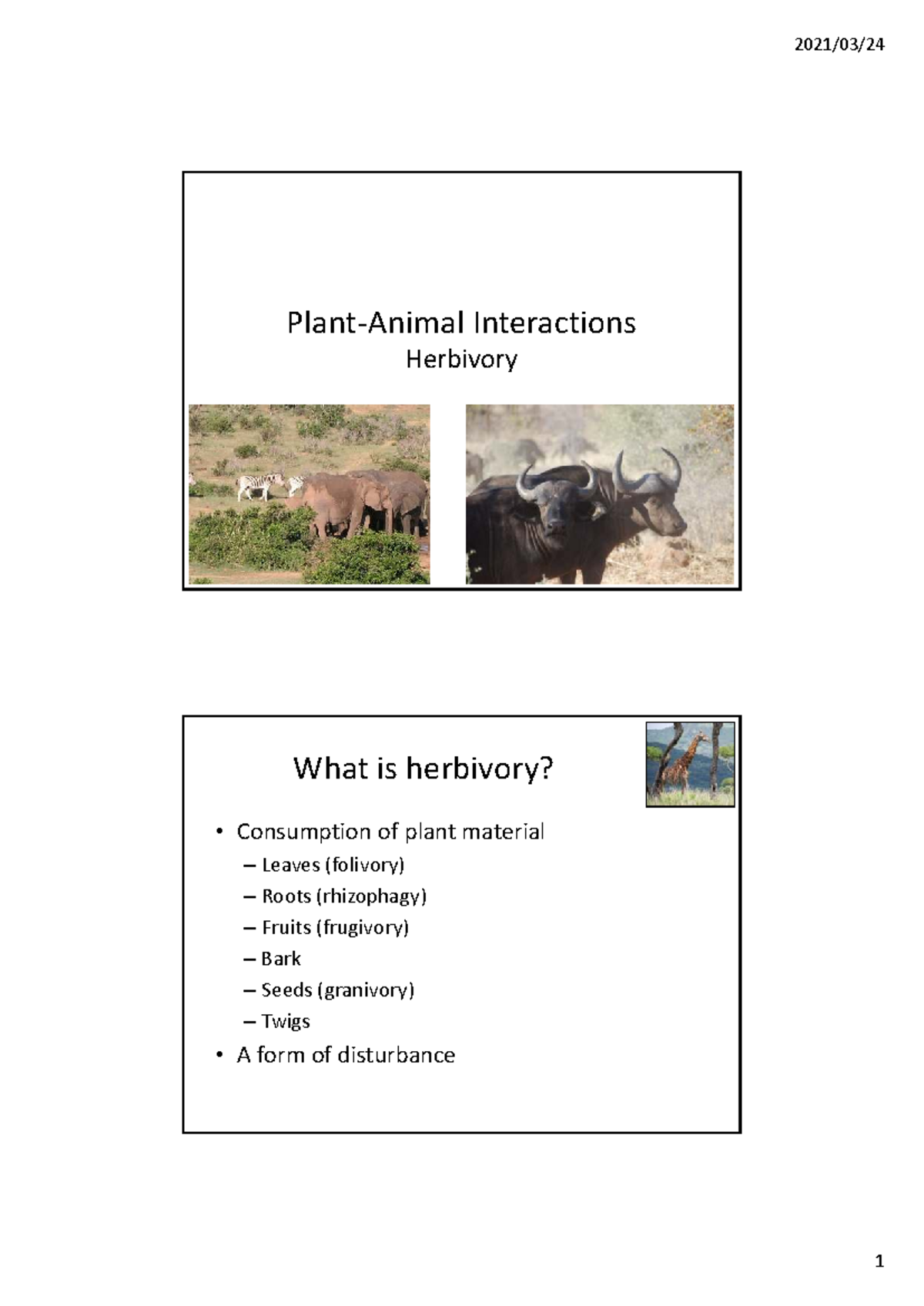 L4 Herbivory - notes - Plant-Animal Interactions Herbivory What is ...