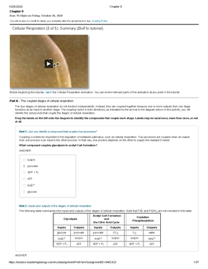 Diffusion lab - lab report - EXAMINING THE EFFECTS OF DIFFUSION AND ...
