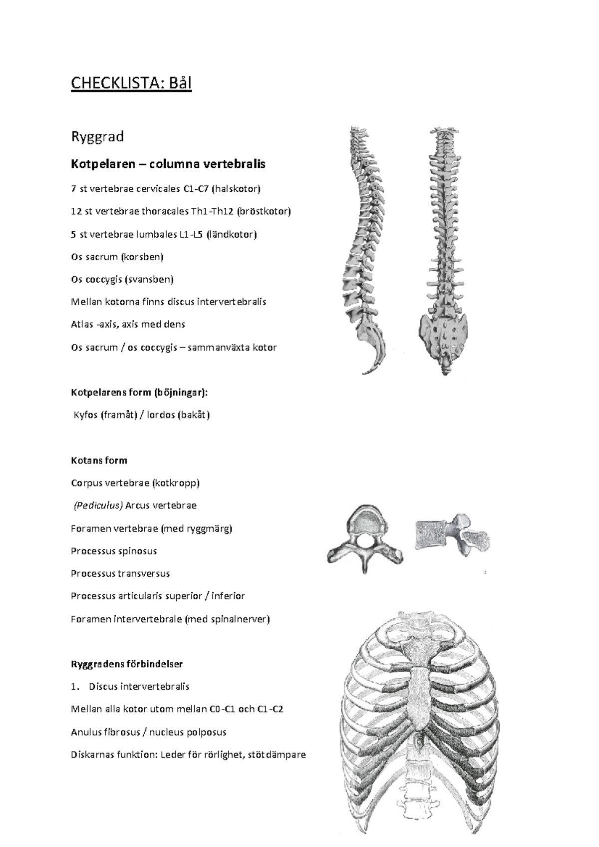 Checklista: Anatomiska strukturer i Bål och Ryggrad (Kurskod) - Studocu