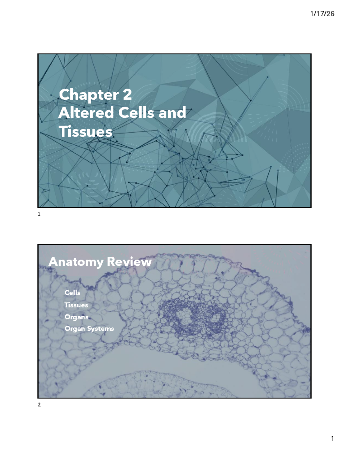 Chapter 2: Altered Cells and Tissues - Nursing Concepts - Studocu