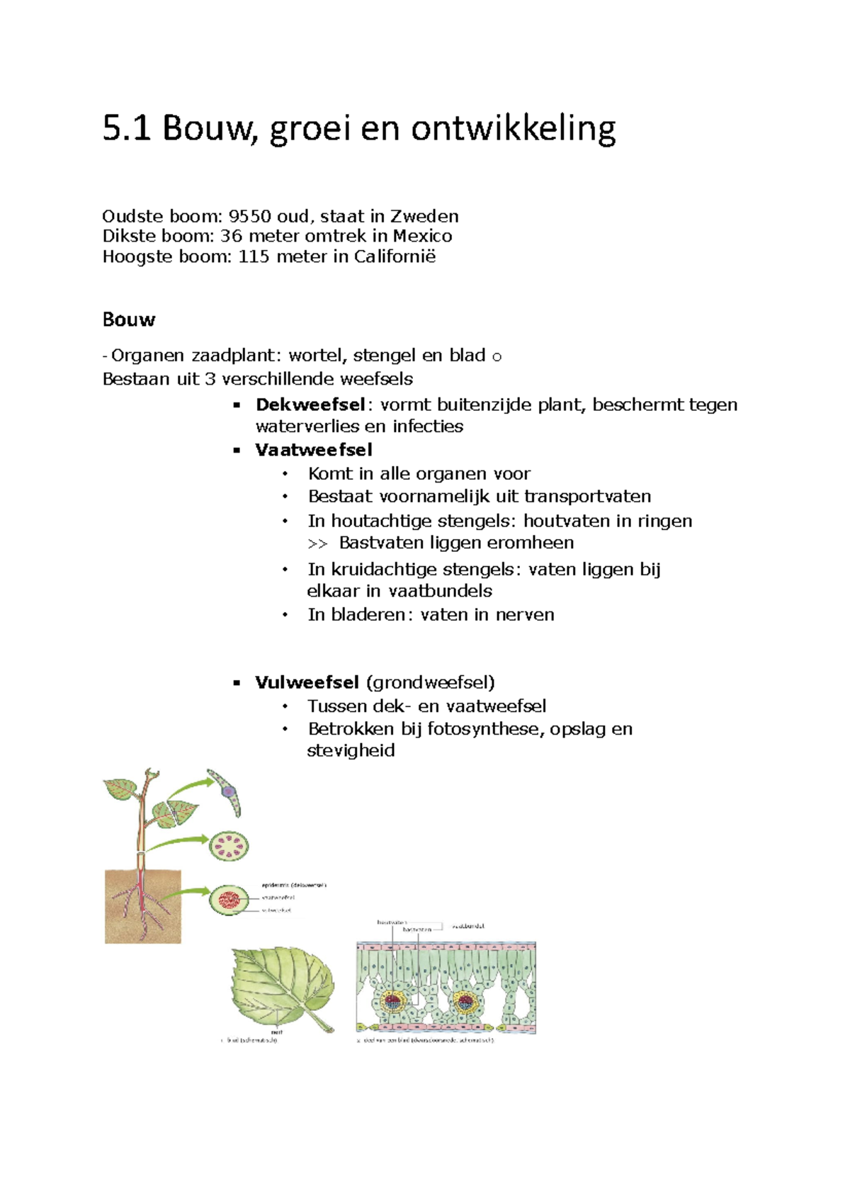 Thema 5 BIO Samenvatting en Opdrachten over Plantenbouw en Transport ...