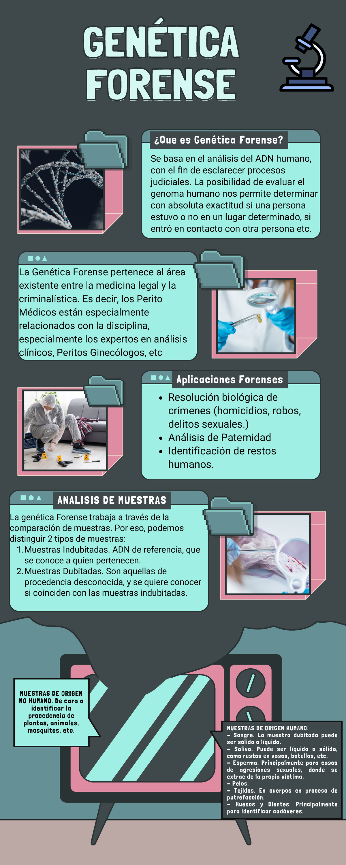 Infografía sobre Genética Forense: Análisis y Aplicaciones - Studocu