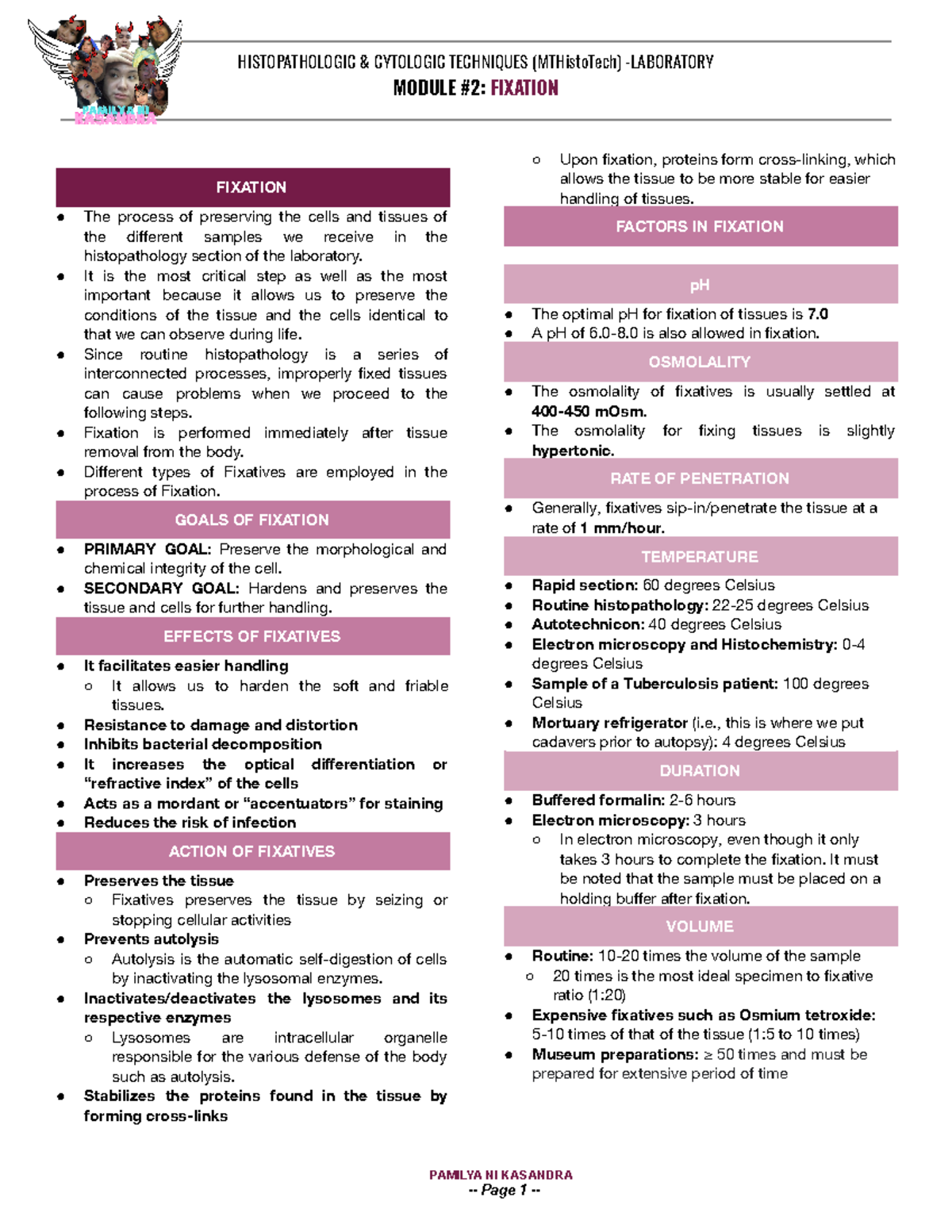 Histotech LAB M2 - HISTO - HISTOPATHOLOGIC & CYTOLOGIC TECHNIQUES ...