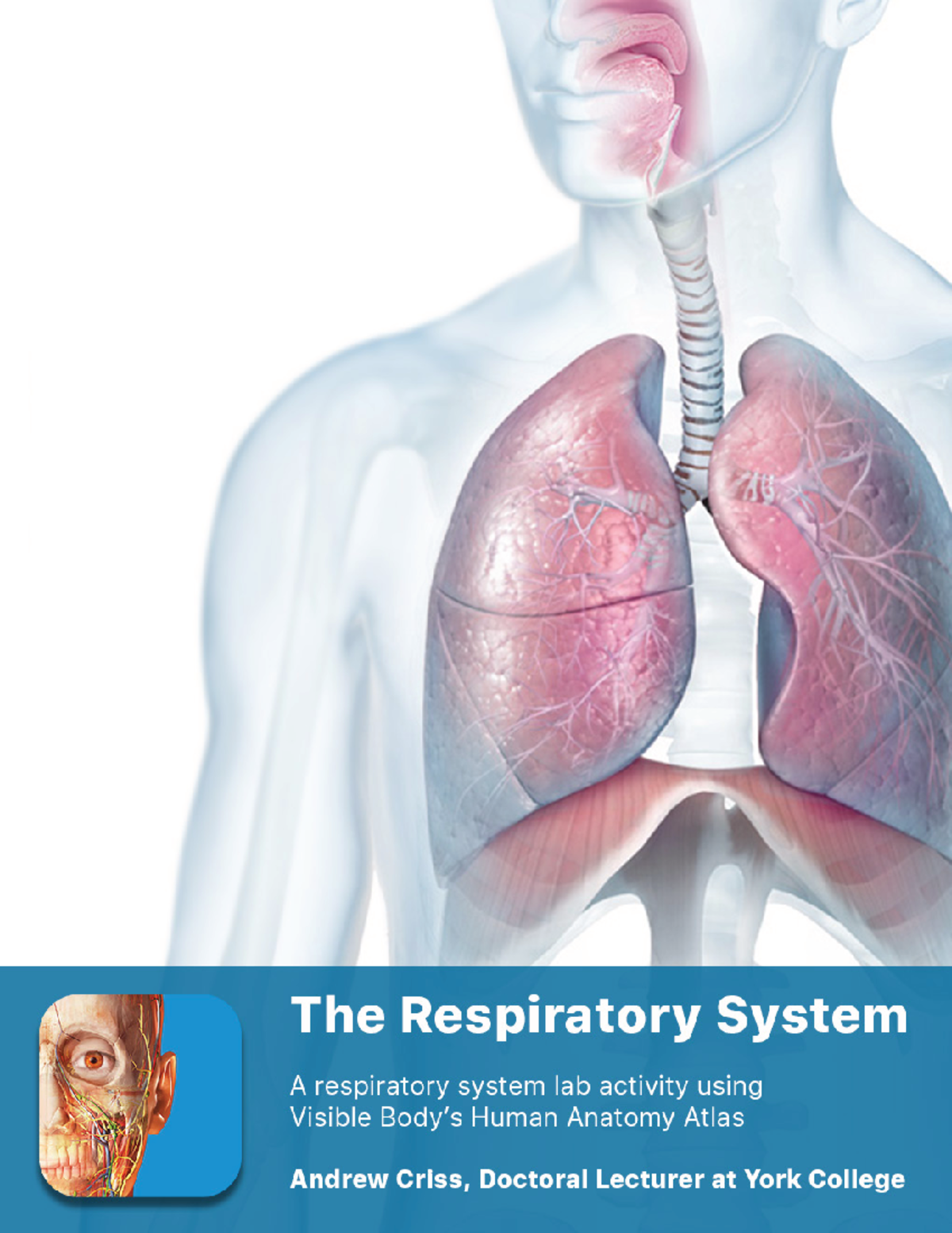 Lab manual respiratory atlas 5-1-18 - PRE-LAB EXERCISES Open the Human ...