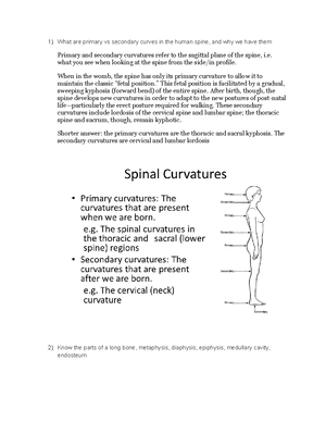 Chapter 13: Brain and Cranial Nerves Overview and Functions - Chapter ...