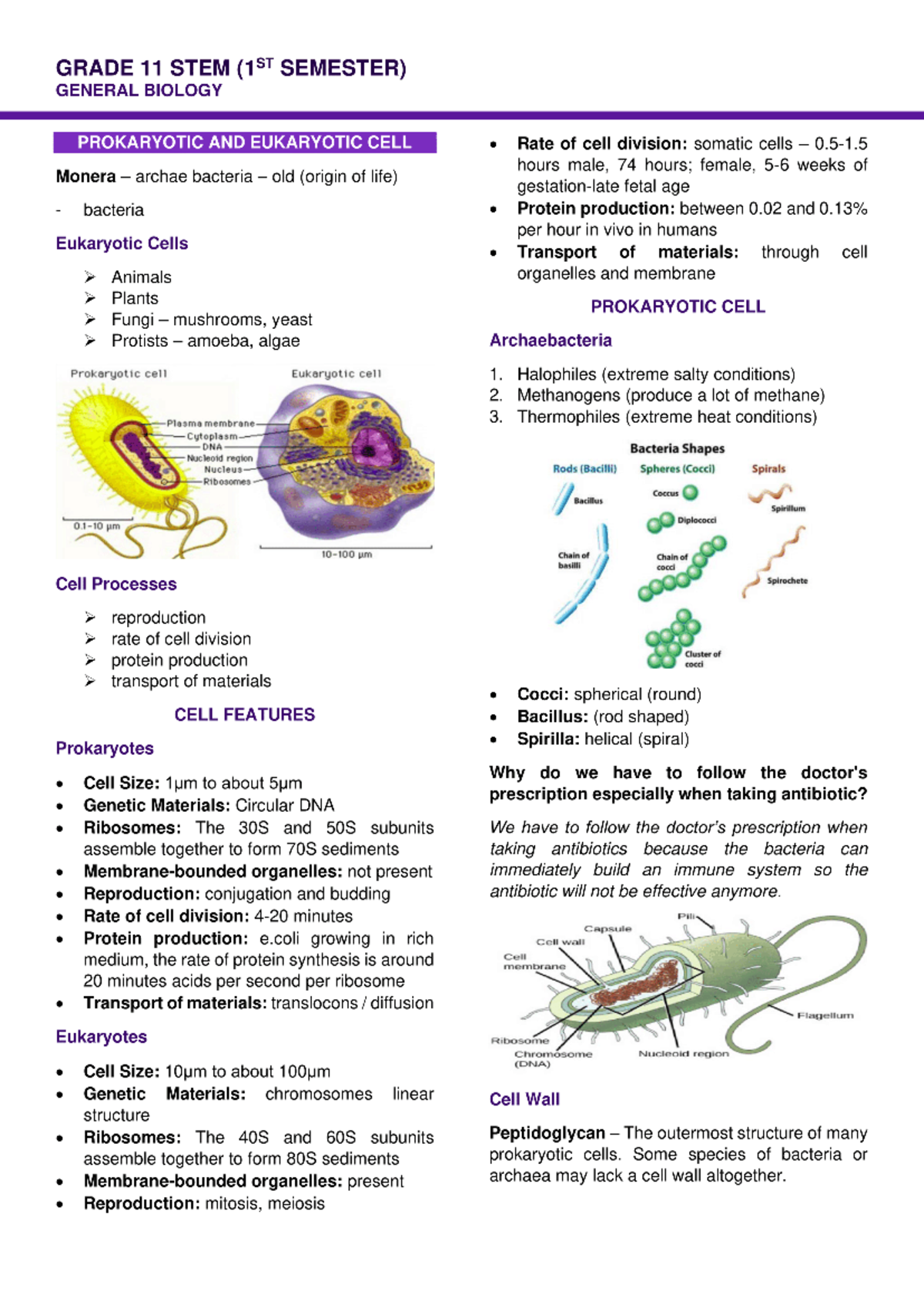 GRADE 11 STEM (1ST SEMESTER) GENERAL BIOLOGY: CELL STRUCTURE ...