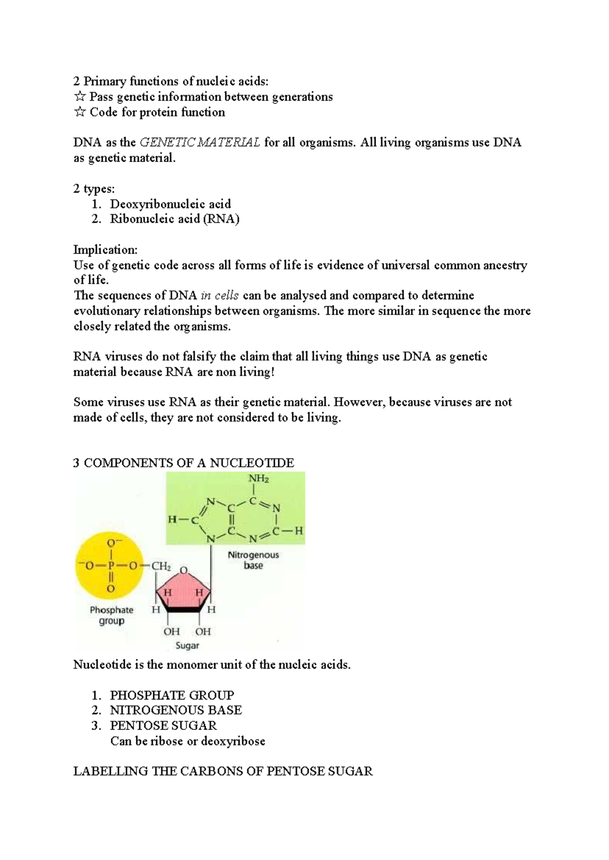 Nucleic Acids: Functions, Structure, and Genetic Code (IB Biology ...