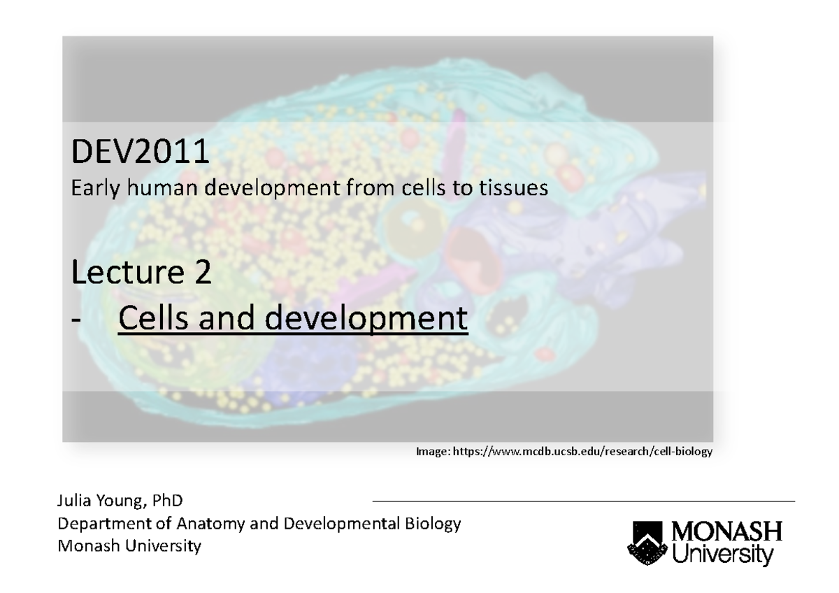 DEV2011 2025 - Lecture 2: Understanding Cells and Development - Studocu
