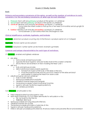 Block 2 Study Guide: Spine Curvatures, Vertebrae, and Clinical ...