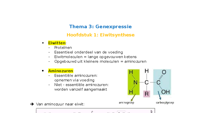 Samenvatting Semester 2: Genexpressie, Eiwitsynthese en Evolutie - Studocu