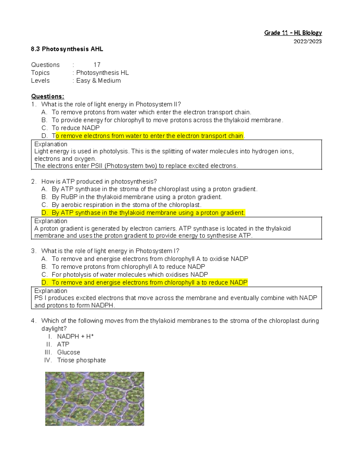 8.3 Photosynthesis HL - AHL Questions & Answers for Grade 11 Biology ...