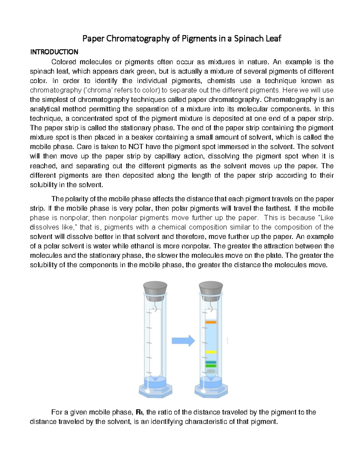 Chromatography of Spinach Leaf Pigments - Chem 1004 Lab Report - Studocu
