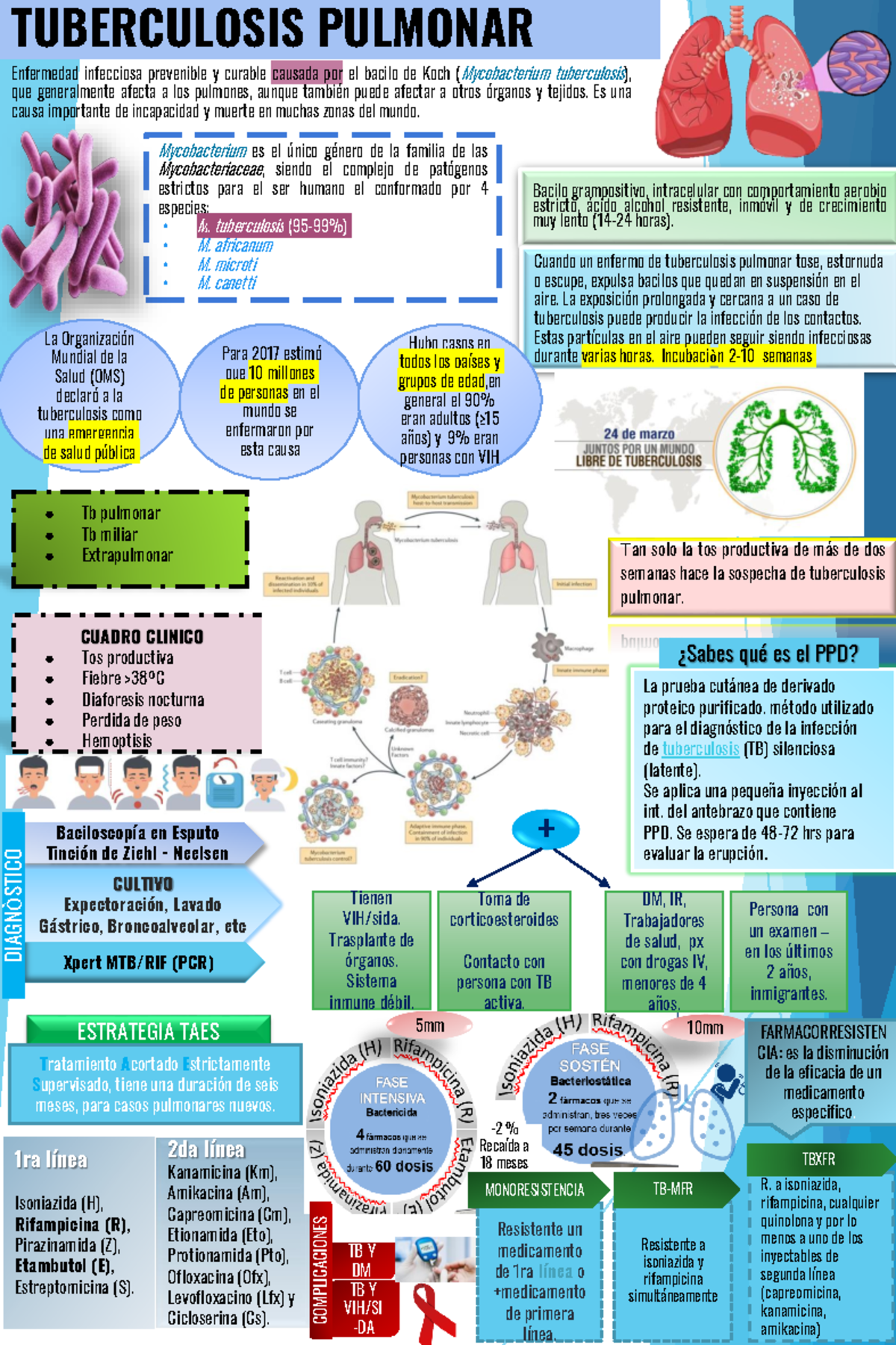 Tuberculosis Pulmonar Infografia Terminada Y Culminada -2 % Recaída a ...