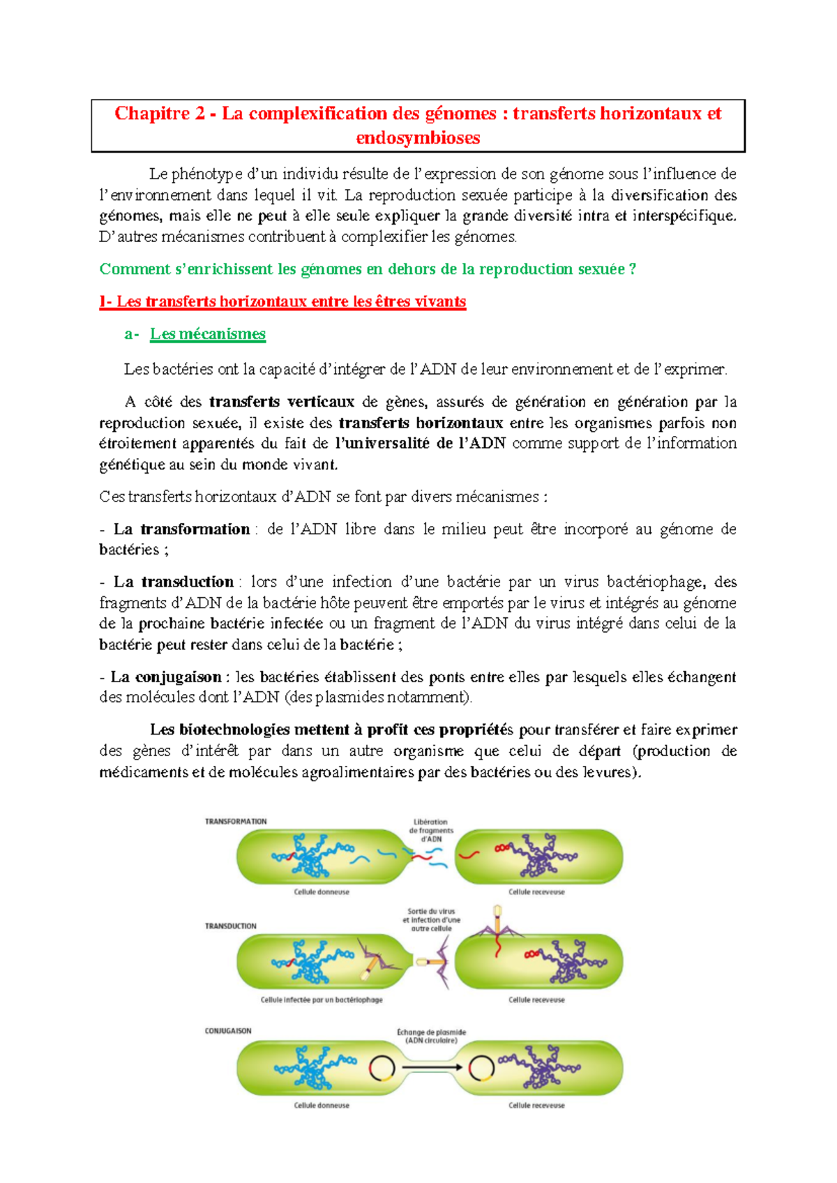 Chapitre 2 - La Complexification des Génomes en Biologie - Studocu