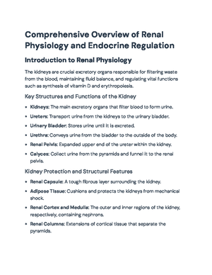 Understanding the Renal System: Functions, Mechanisms, and Homeostasis ...