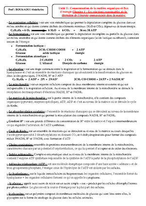 La region sous hyoidienne - La région Sous hyoïdienne Pr. Y. ROCHDI Pr ...