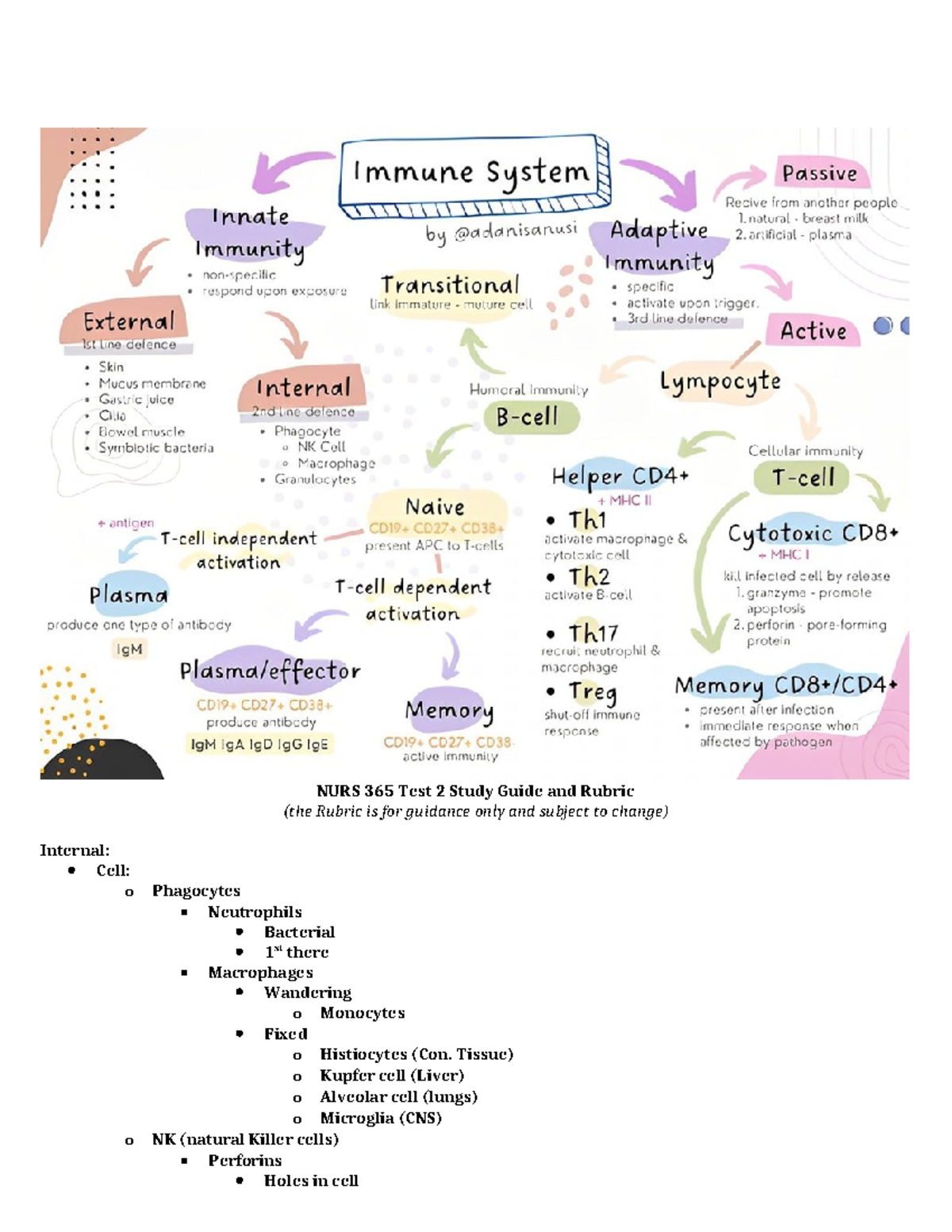 NURS 365 Test 2 Study Guide: Immune System and Pathophysiology - Studocu
