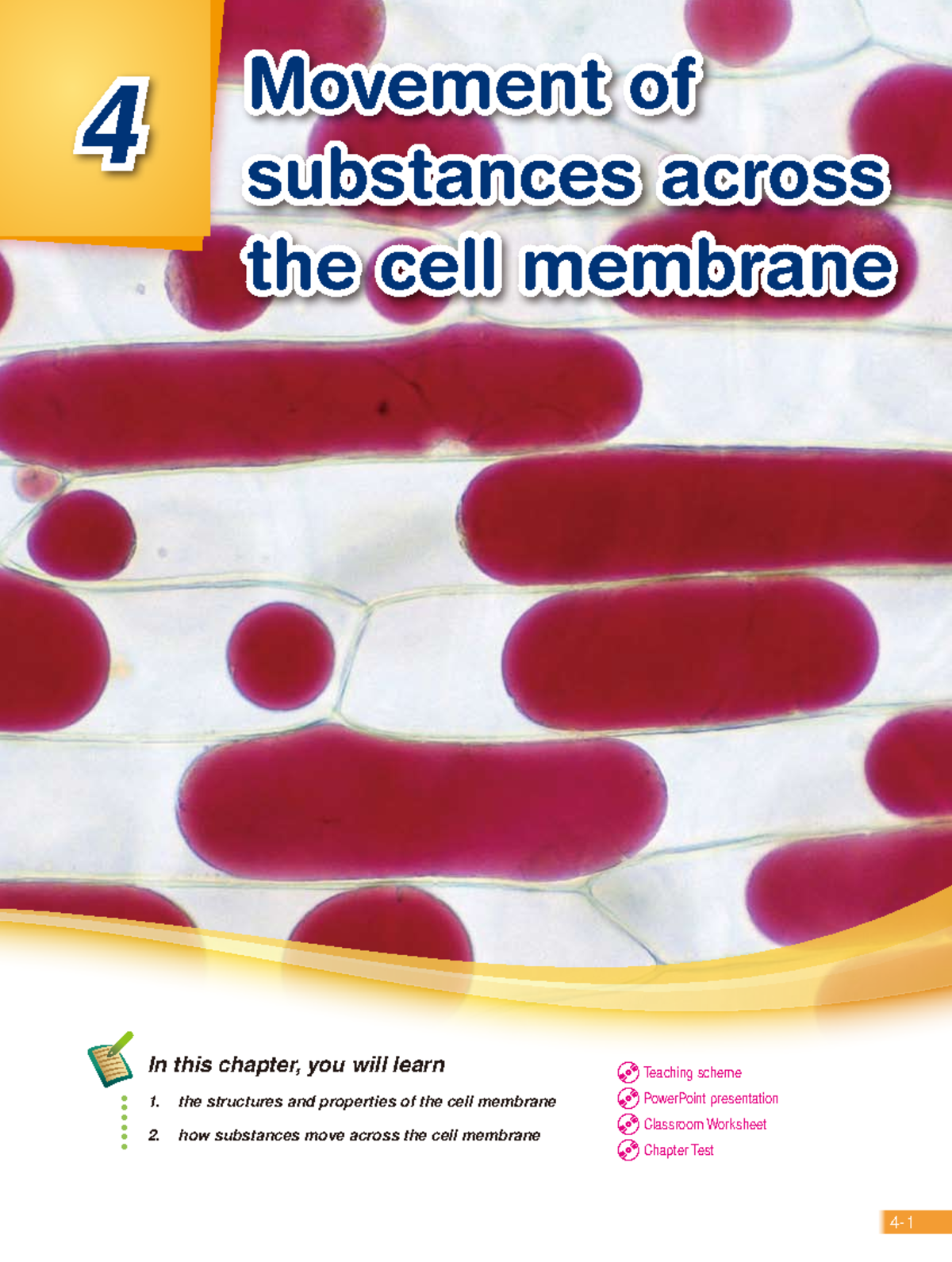 Hkdsebio Bk1 Ch04 Movement of Substances Across Cell Membrane - Studocu