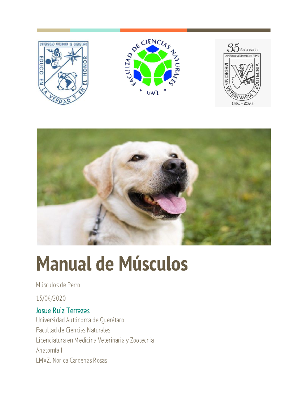 Manual de Músculos de Perro - Anatomía I (LMVZ) - Studocu