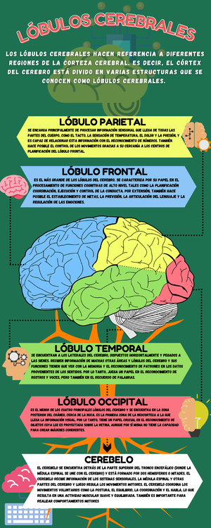 Manual del test de raven escala coloreada - TEST DE MATRICES ...