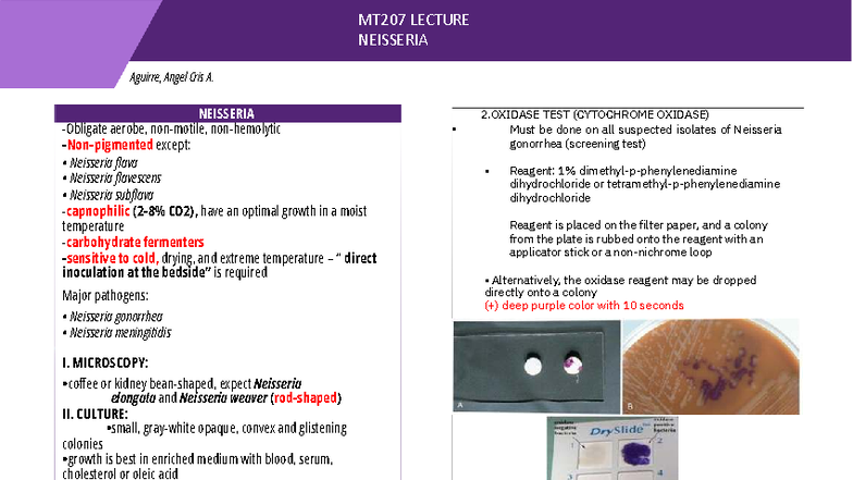MT207 LECTURE ON NEISSERIA: Pathogens, Tests, and Characteristics - Studocu