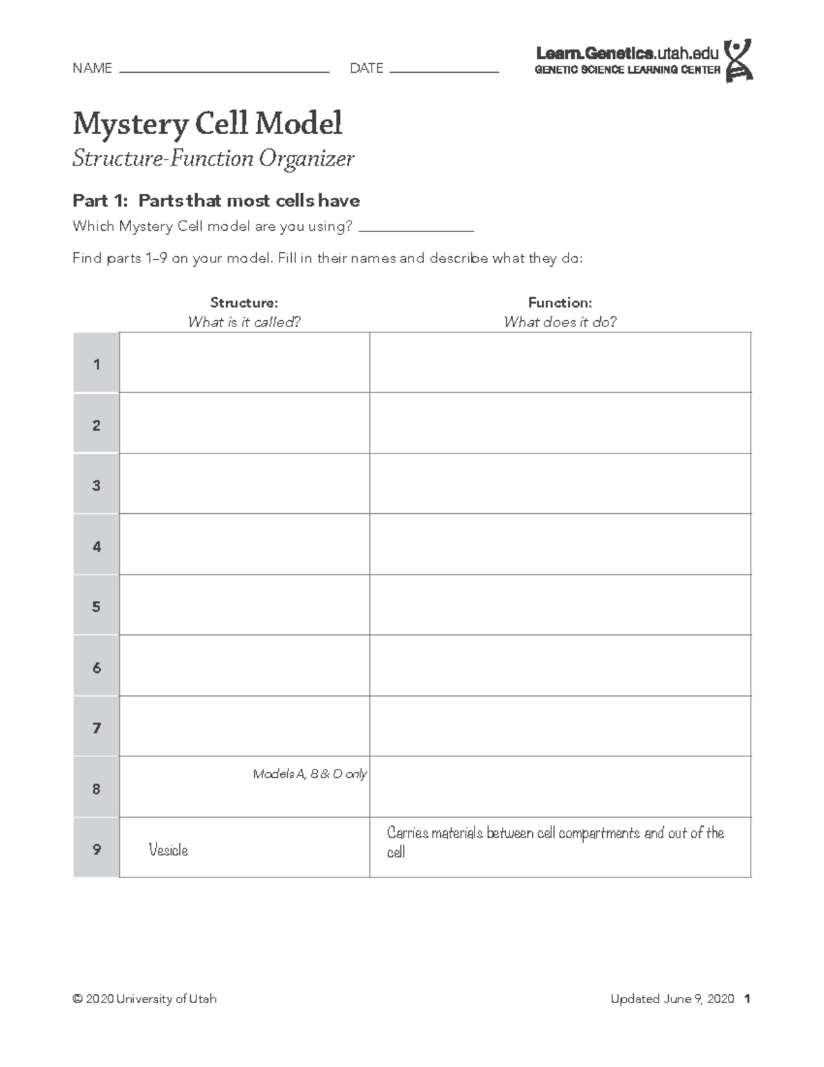 Mystery Cell Model Organizer: Structure-Function Analysis (Part 1 & 2 ...