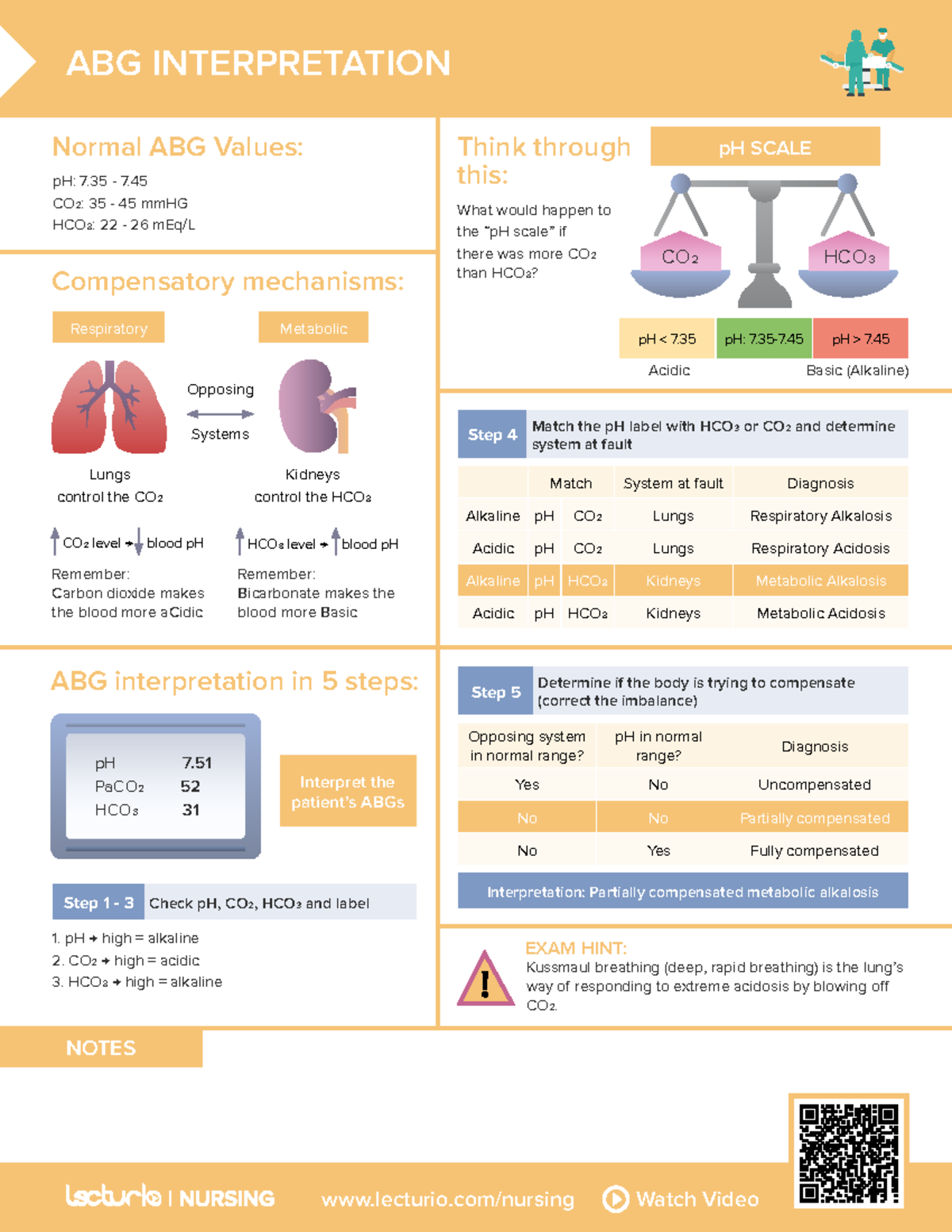 Cheat Sheets - NOTES ABG INTERPRETATION Opposing Systems Lungs control ...