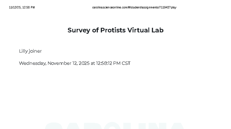 Survey of Protists Virtual Lab (BIO 101) - Observations & Activities ...