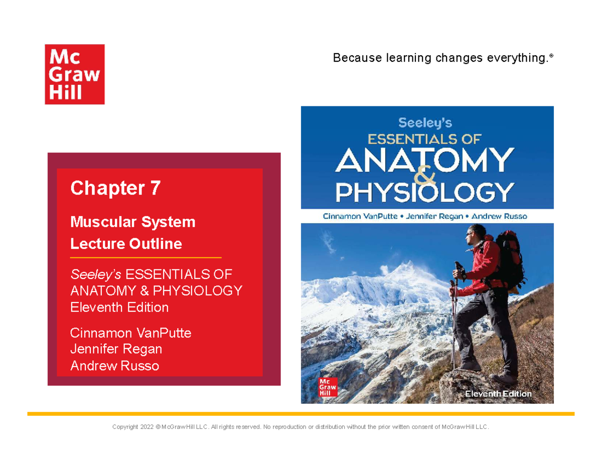 Muscular System Lecture Outline (ESSENTIALS OF ANATOMY PHYSIOLOGY ...