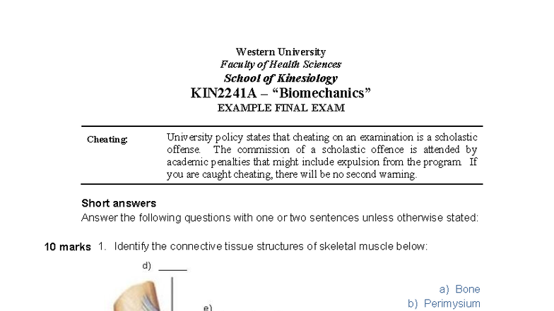 KIN 2241A Example Final Exam Solutions on Kinesiology Concepts - Studocu