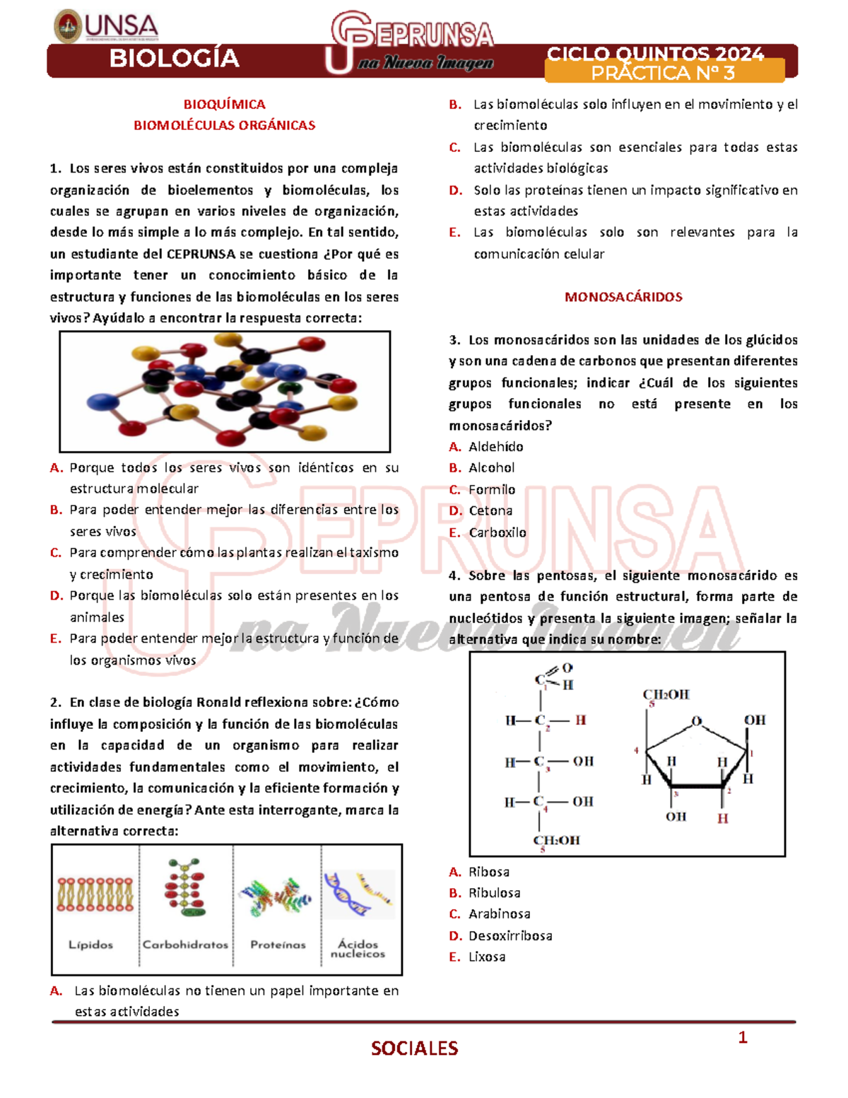 03 Soc Biologia - sada asdsadsad as sadas asd assad - SOCIALES 1 CICLO ...