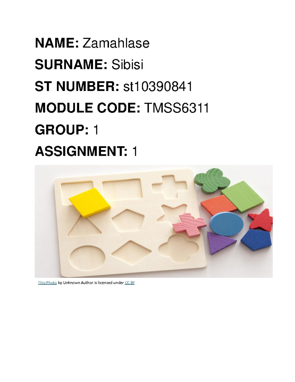 TMSS6311 Assignment 1: Teaching Math through Shape Recognition and ...