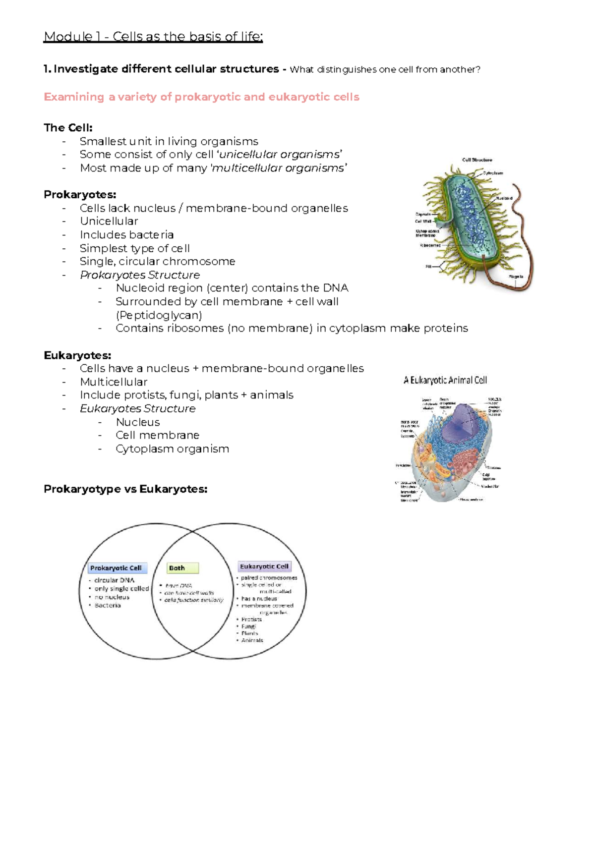 Bio Notes: Investigating Prokaryotic & Eukaryotic Cell Structures - Studocu