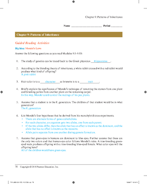 Chapter 9 patterns of inheritance - 9: the study of genetics has ...