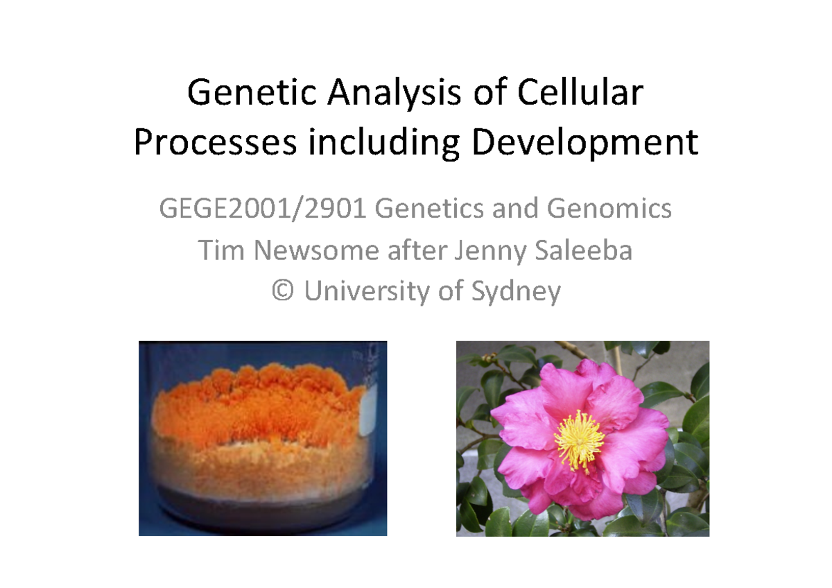6 Genetic Analysis TN 2024 - Genetic Analysis of Cellular Processes ...