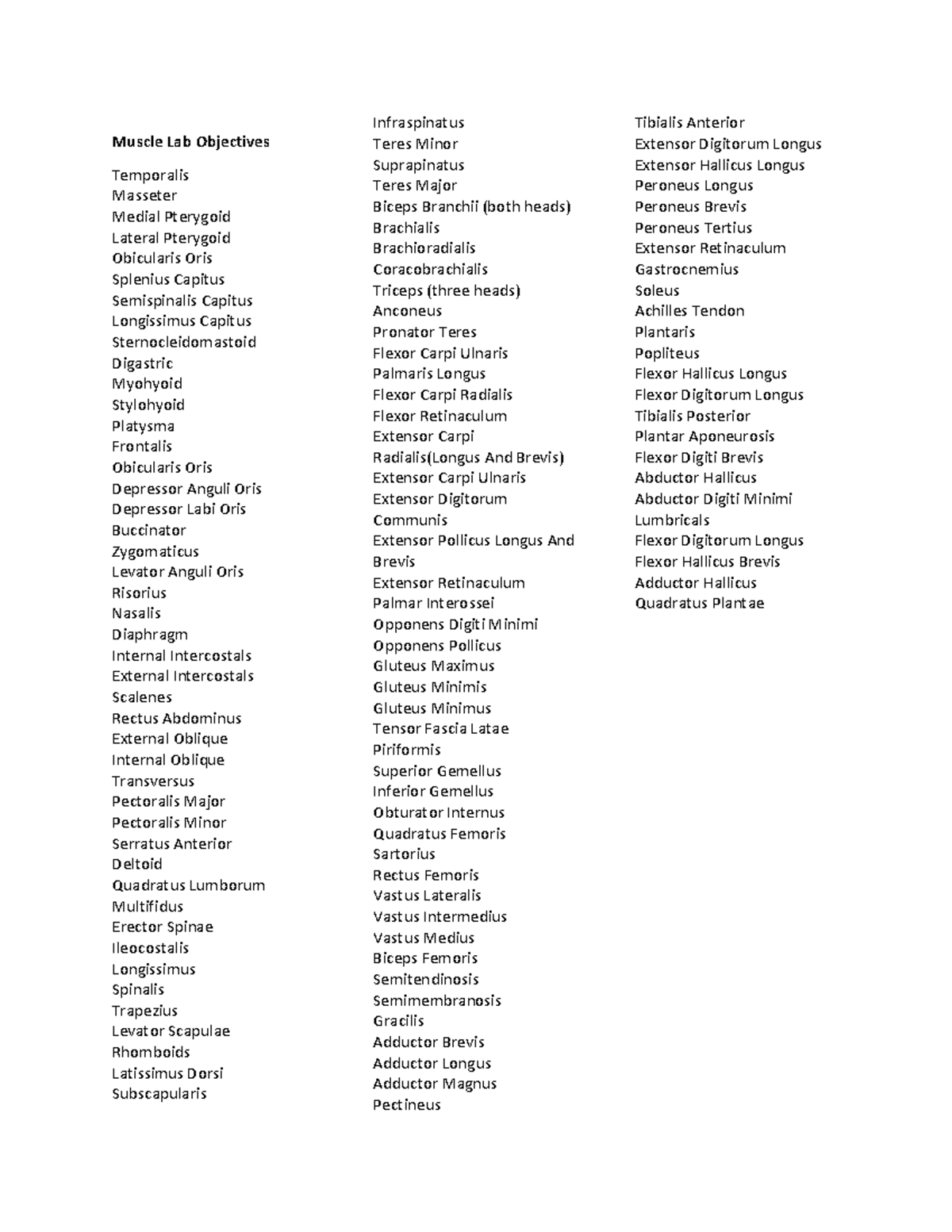 Muscle Lab Objectives: Key Muscles and Functions Overview - Studocu