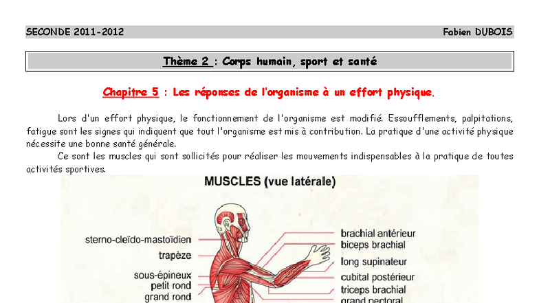 SECONDE Fabien DUBOIS Thème 2 : Effets de l'Effort Physique sur le ...