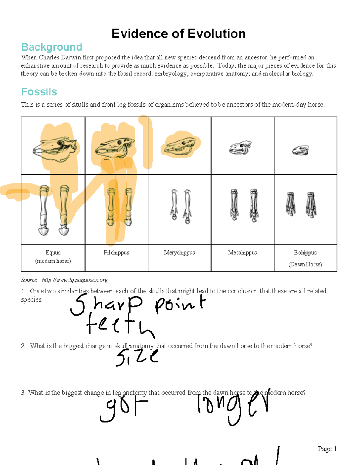 Evidence for Evolution: Key Topics and Concepts Study Guide - Studocu