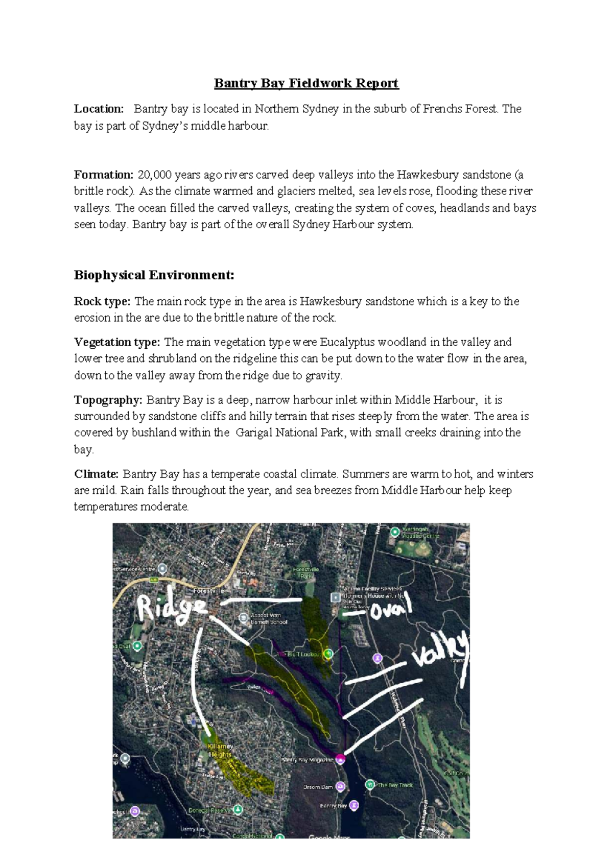 Bantry Bay Fieldwork Report: Geology, Ecology, and Climate Analysis ...