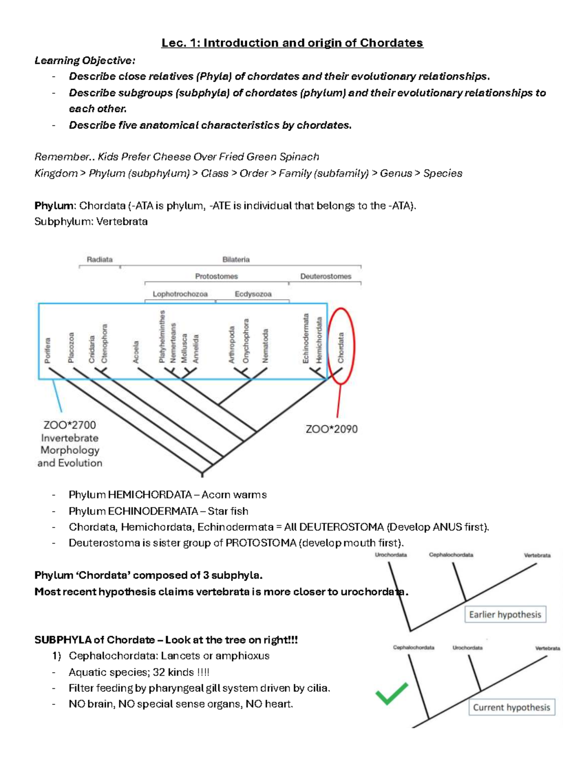 Lec. 1: Introduction to Chordates and Their Evolutionary Relationships ...