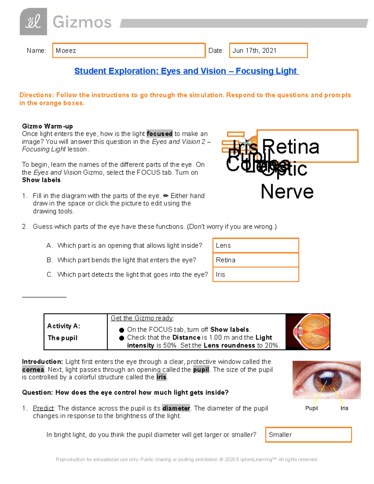 Exploration Activity: Gizmo 8 - Understanding Eye Focus and Vision ...