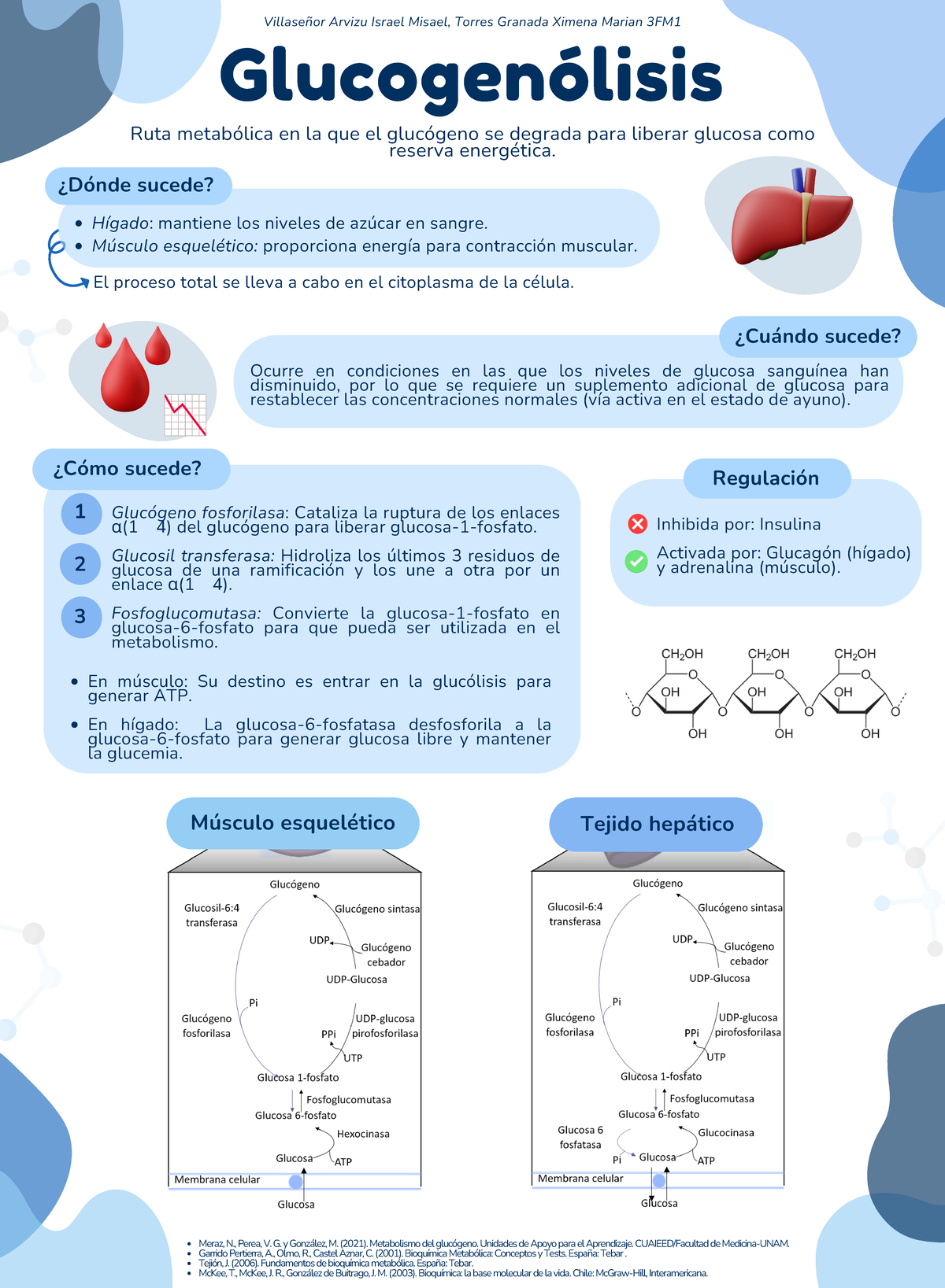 Glucogenolisis - Resumen Bioquímica - Glucogenólisis Músculo ...
