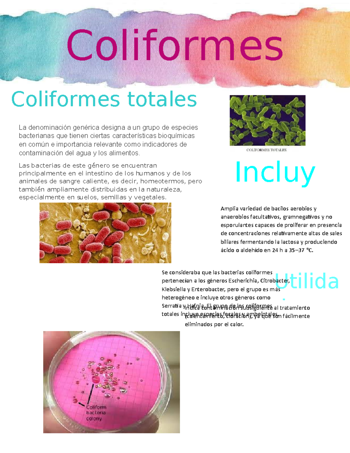 Estimación de Coliformes Totales y Fecales: Método NMP (CCAYAC-M-004 ...