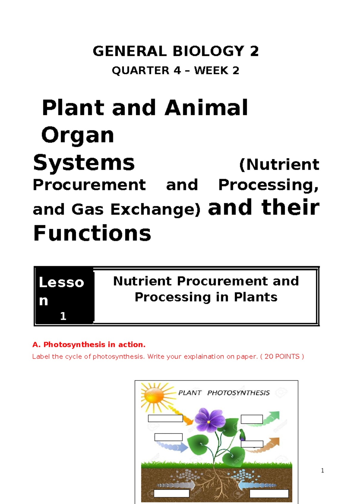 GENERAL BIOLOGY 2 - QUARTER 4 WEEK 2: Plant & Animal Systems - Studocu