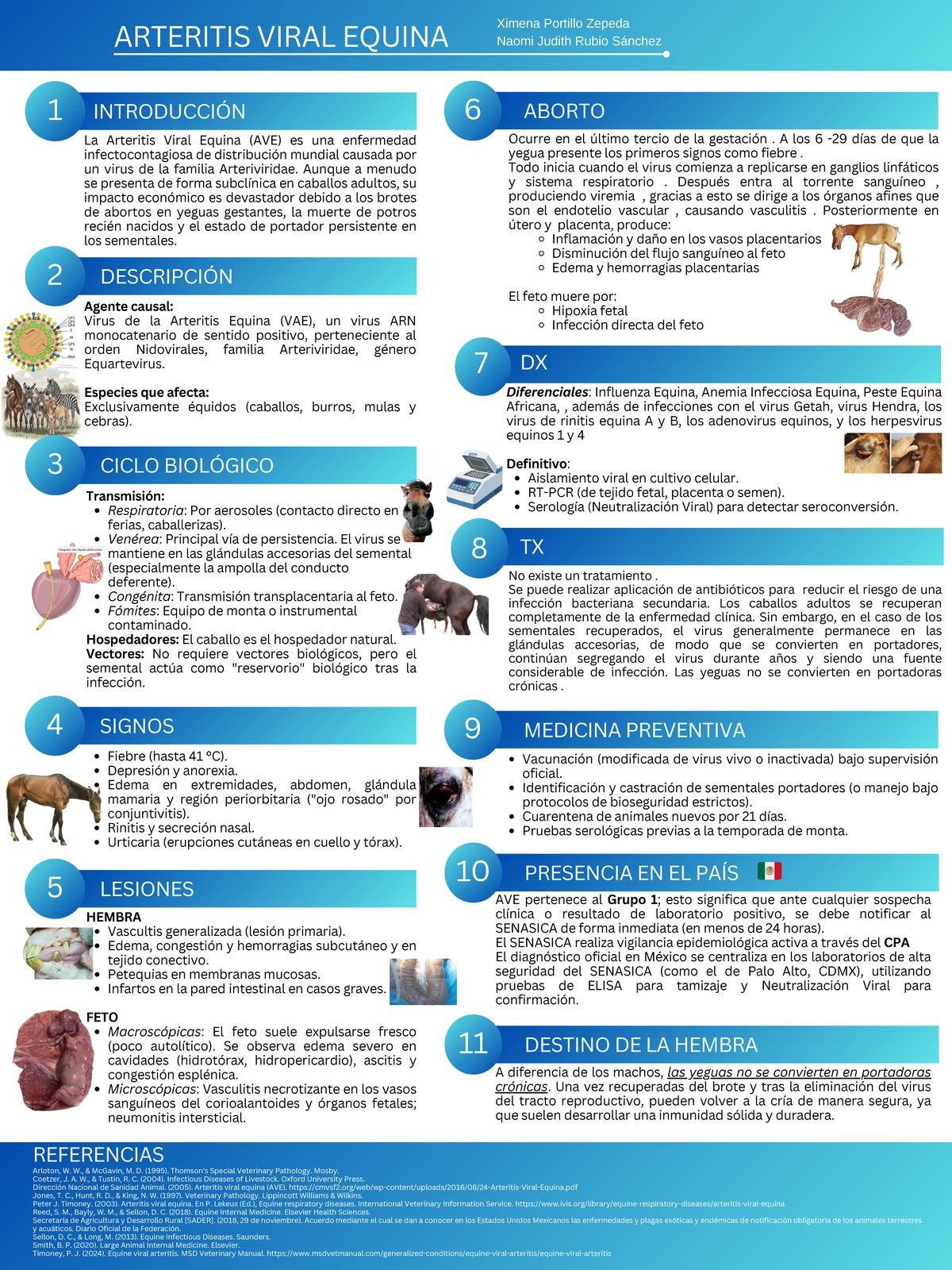 Causas Infecciosas de Aborto en Hembras Domésticas: Virus y Efectos ...
