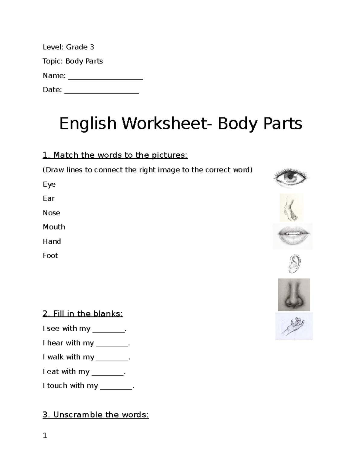 Body Parts Activities for Grade 3 - English Lesson - Studocu