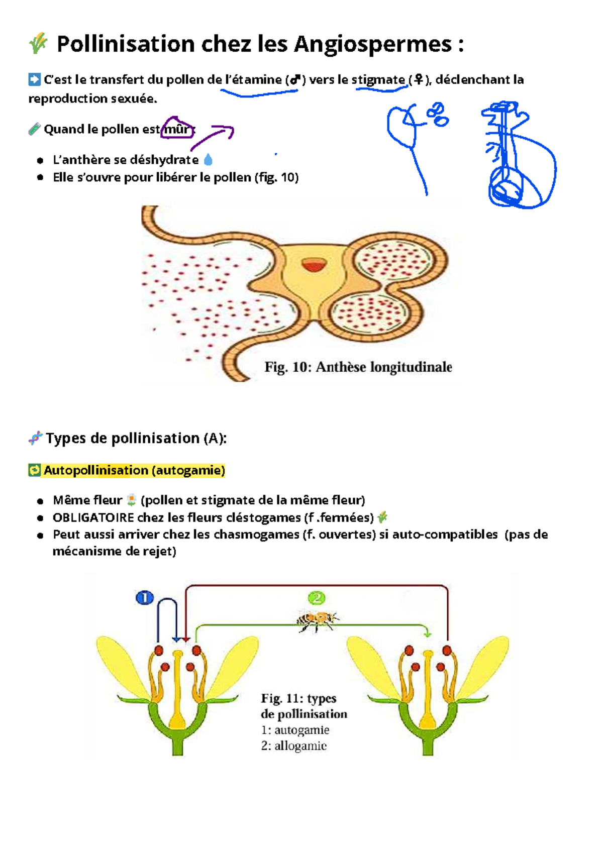 Pollinisation et Fécondation des Angiospermes - Cours Bio 101 - Studocu