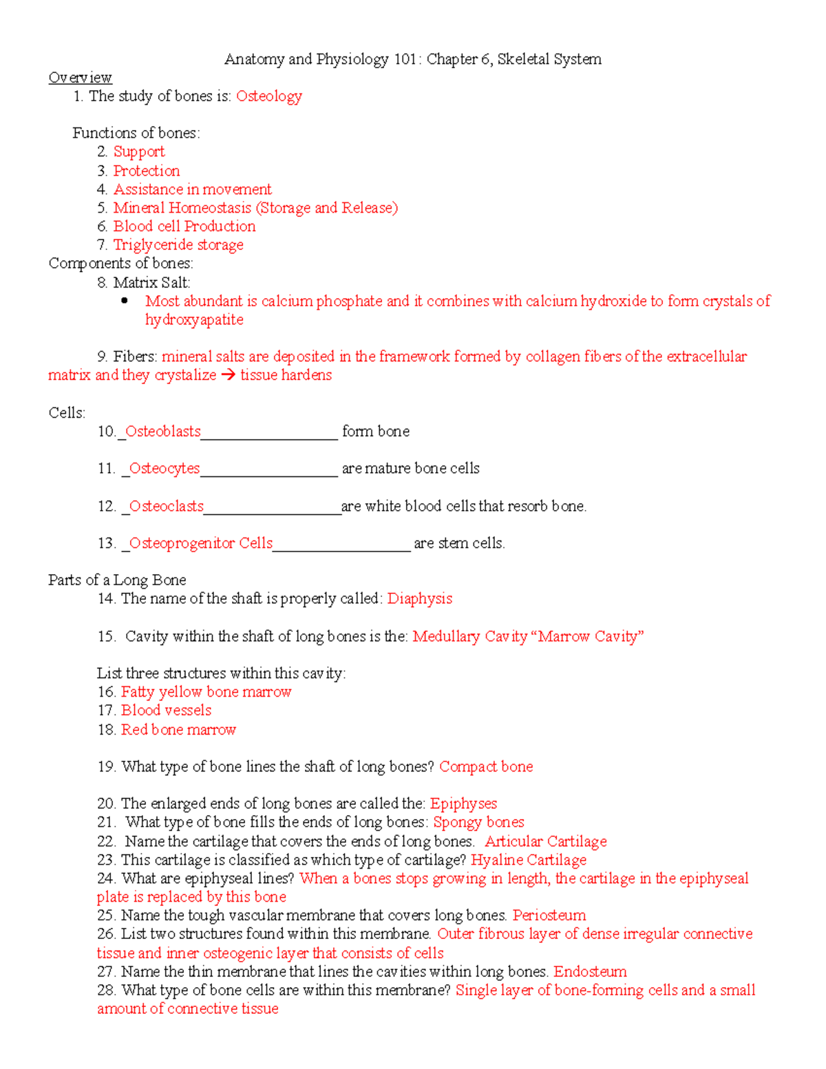 Anatomy and Physiology 101: Chapter 6 Skeletal System Overview ...