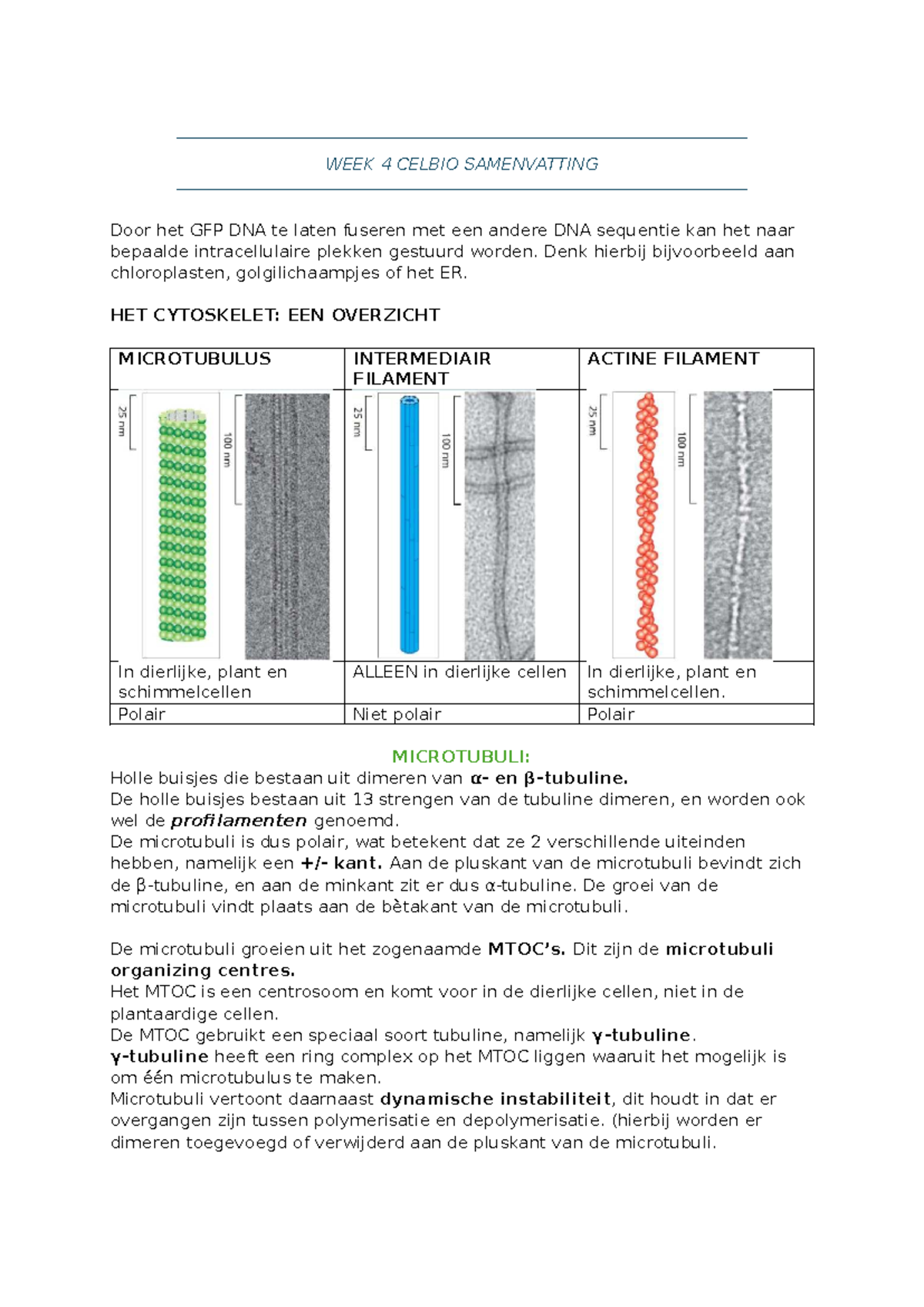 Samenvatting Week 4 CELBIO: Cytoskelet en Mitosis Overzicht - Studeersnel