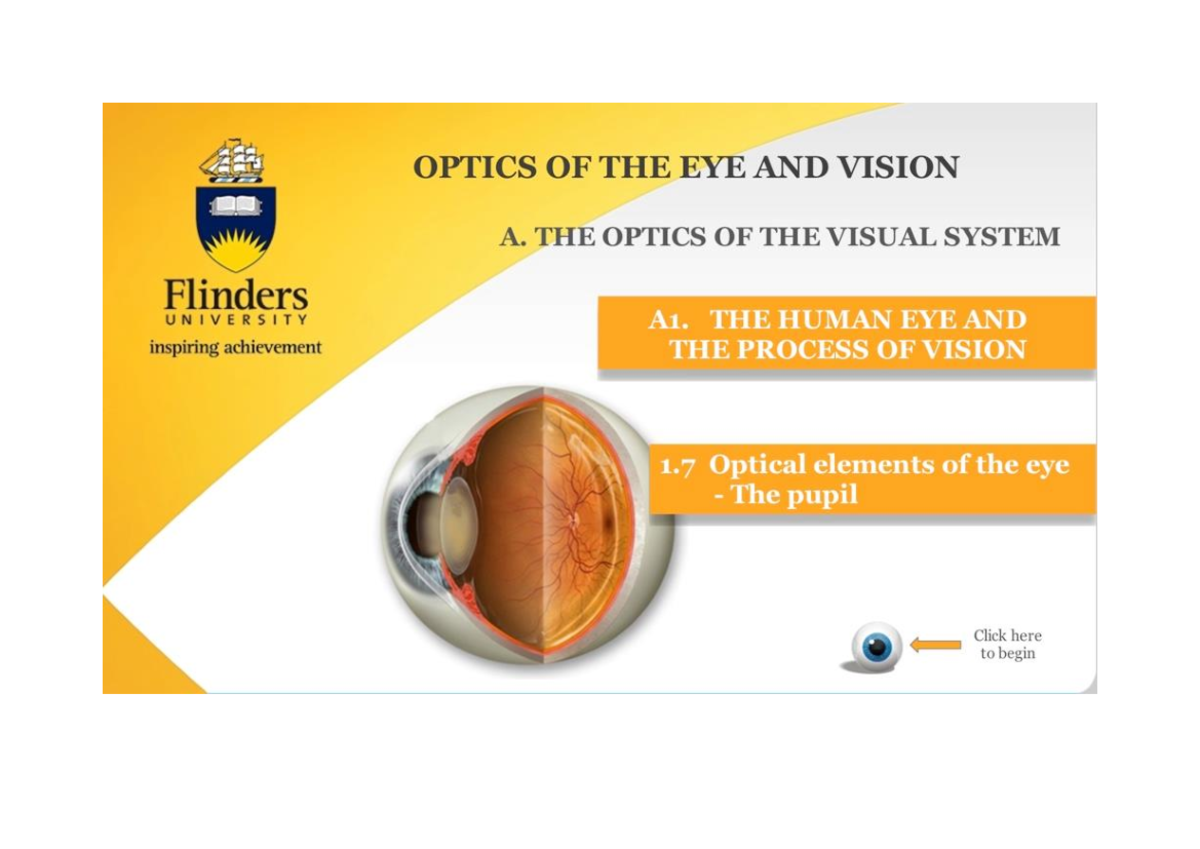 Final Exam Review: Key Concepts & Practice Problems for XYZ123 - Studocu